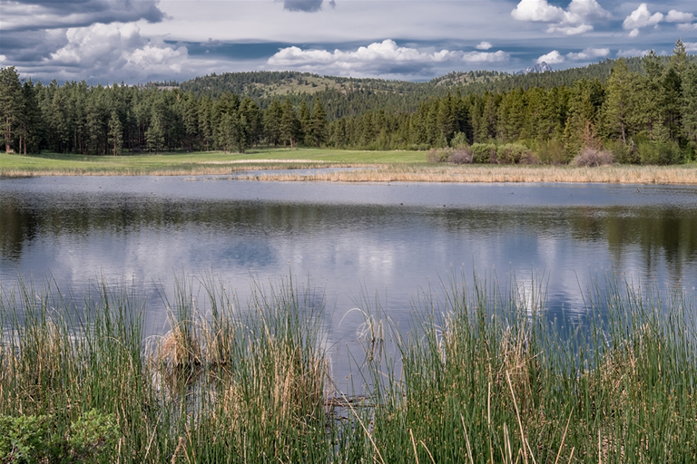 Top Hiking Trails in Cranbrook