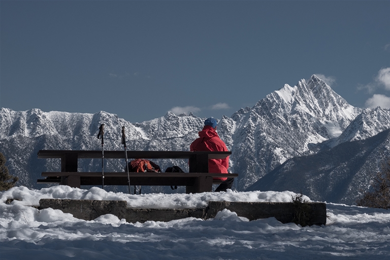 Cranbrook Community Forest