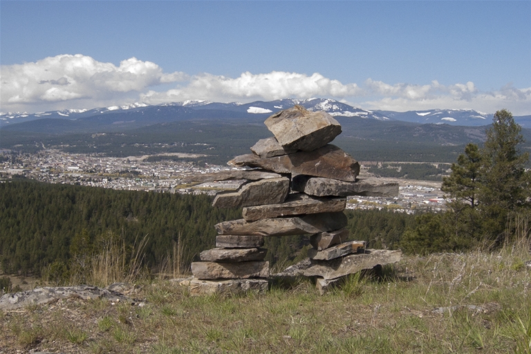 Cranbrook Community Forest