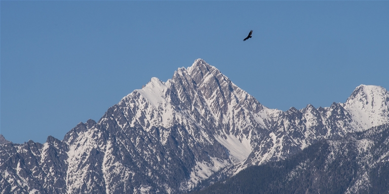 Weather in Cranbrook, BC